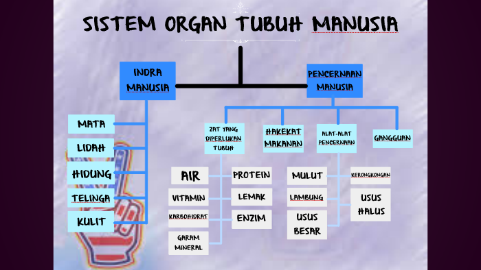 SISTEM ORGAN TUBUH MANUSIA by dikiy isman on Prezi