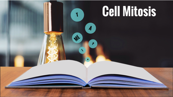 Cell Mitosis by Kendyl Watson on Prezi