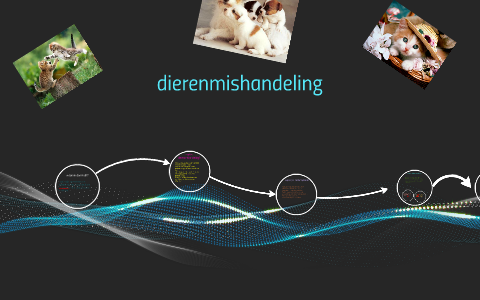 dierenmishandeling by Seliinaa Jwzz on Prezi