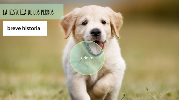 la historia de los perros by luciana sotomayor on Prezi