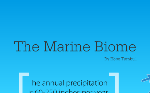 My Marine Biome Project by Hope Turnbull on Prezi