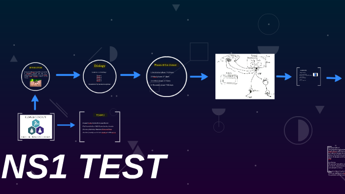 NS1 TEST by Edith Sanchez Gonzales on Prezi