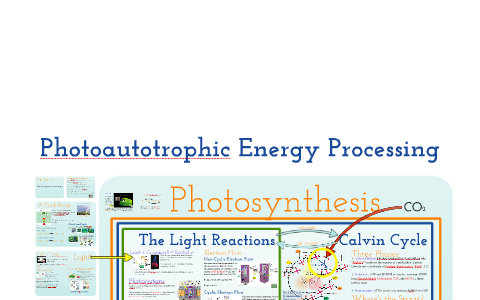 AP Bio- Metabolism 3: Photoautotrophic Nutrition by Jessica Gregerson ...