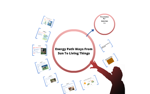 How do living things get energy from sun? by Prince AZ on Prezi