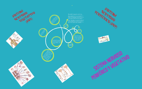 SNP SNV by Juan Sanchez Garcia on Prezi