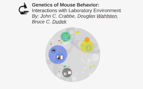 Genetics of Mouse Behavior: Interactions with Laboratory Env by Elliot ...