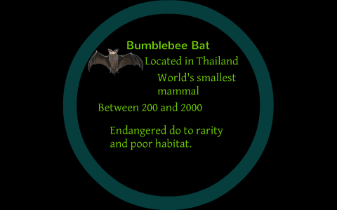 East and South East Asian endangered animals by chance wilhite on Prezi