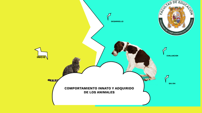 COMPORTAMIENTO INNATO Y ADQUIRIDO DE LOS ANIMALES by EVELYN YAJAIRA ... COMPORTAMIENTO INNATO Y ADQUIRIDO DE LOS ANIMALES by EVELYN YAJAIRA ...