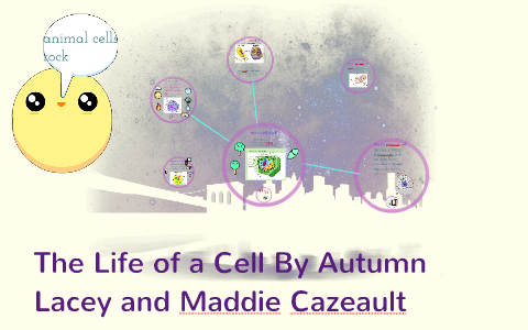 the cell party by maddie and autumn by maddie autumn