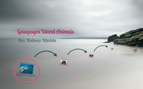 Adaptations of Galapagos animals by Kelsey Kimble on Prezi