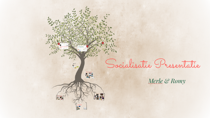 Socialisatie Presentatie by Romy Burghouts on Prezi
