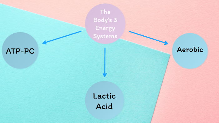 Energy Systems Diagram by Claire Trottier on Prezi