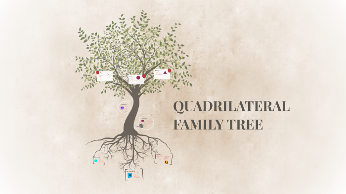 SHAPE FAMILY TREE by Colton Chappell on Prezi