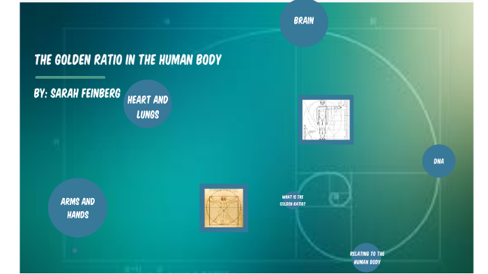 Golden Ratio in the Human Body-2020 by Sarah F on Prezi