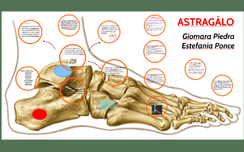 ASTRAGÁLO by Ciomis Piedra on Prezi