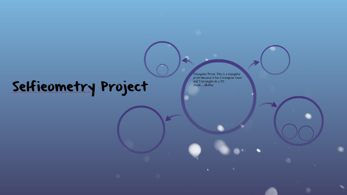 Selfieometry Project by debra swarn on Prezi