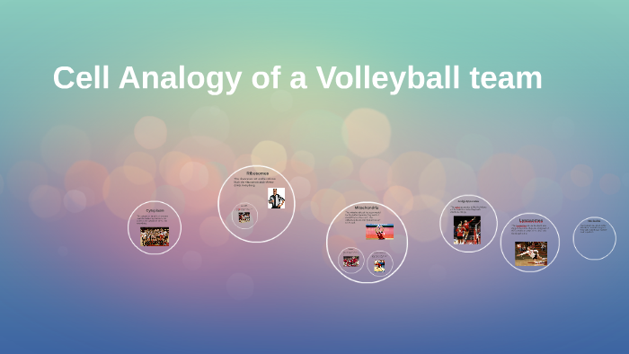 Cell Analogy of a Volleyball team by Lexi Johnson on Prezi