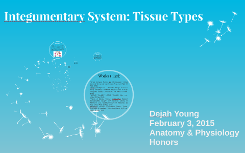 Integumentary System: Tissue Types by DeJah Young on Prezi