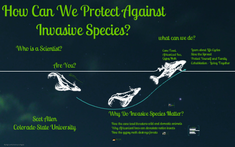 Life Cycles: Invasive Species by Scot Allen on Prezi