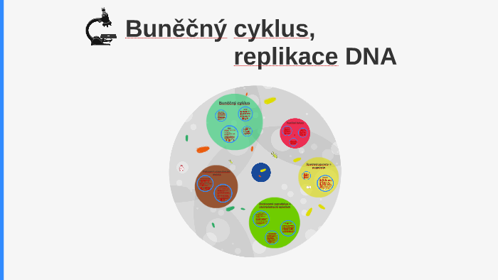 Buněčný cyklus, replikace DNA by Jiri Vitecek