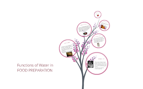 Functions of Water in Food Preparation by Emily Ivey on Prezi