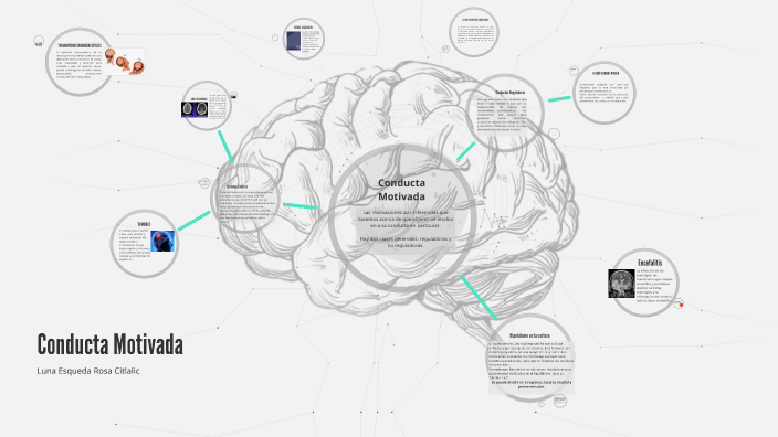 Conducta Motivada by Citlalic Luna on Prezi