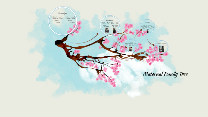 Maternal Family Tree by maria tizoc on Prezi