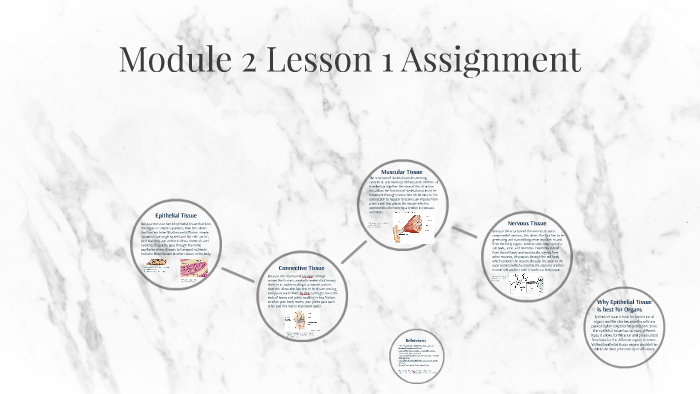 Module 2 Lesson 1 Assignment by Katelyn Metzger on Prezi