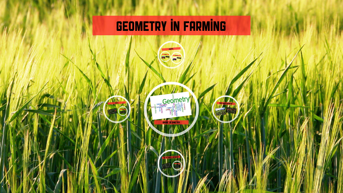 Geometry in farming by trey busby on Prezi