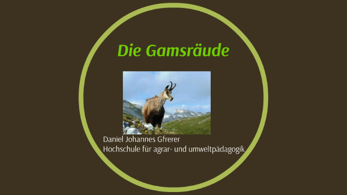 Die Gamsräude by Daniel Gfrerer on Prezi