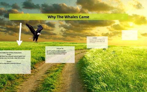 Why the Whales Came Book Review by aidan cleary on Prezi