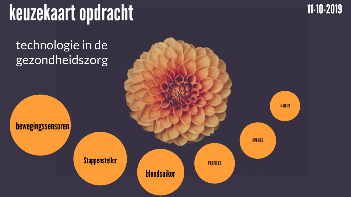 keuzekaart technologie in de zorg by Julia de Nooijer on Prezi