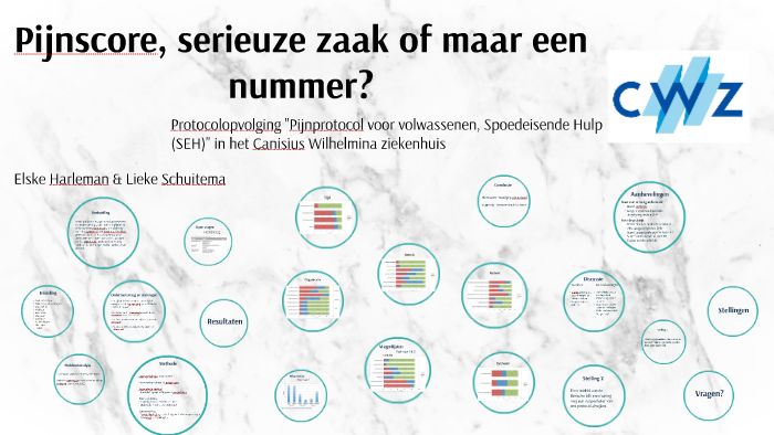 Pijnscore, serieuze zaak of maar een nummer? by Elske Harleman on Prezi