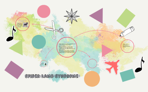 Spider Lamb Syndrome by Staci John on Prezi