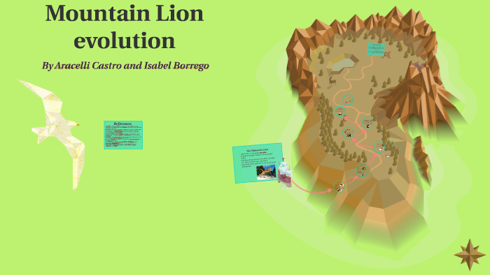 Evolution of the Mountain Lion by isabel borrego on Prezi