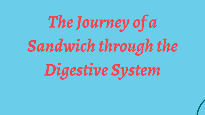 The Journey of a sandwhich through the digestive system by Monia ...