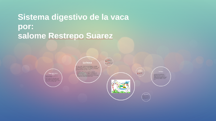 sistema dijestivo de la vaca by Nataly Pineda Vanegas on Prezi