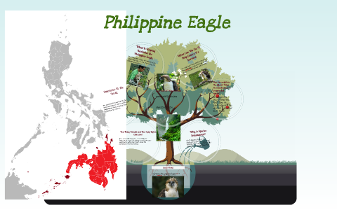 Species Found by Robert Doetsch on Prezi