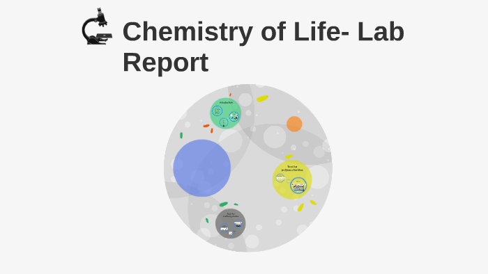 Chemitry of Life-Lab Report by Tany Dorsette on Prezi