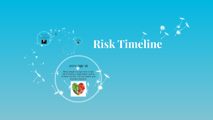Risk Timeline by Sam Lane on Prezi