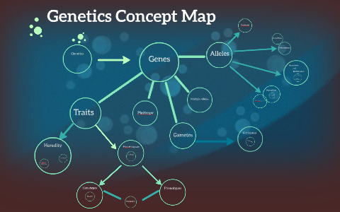 Genetics Concept Map by amber ramos on Prezi