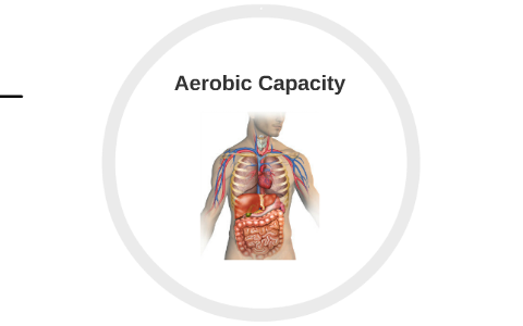 Aerobic Capacity by Rachel Sheldrick on Prezi