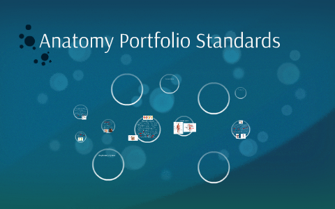 Anatomy Portfolio Standards by Hunter Bourdon on Prezi