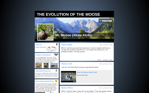 THE EVOLUTION OF THE MOOSE by Hunter Markey on Prezi