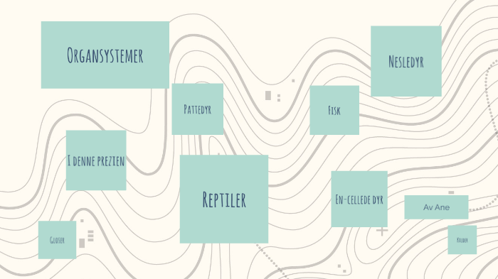 Organsystemer by ane Hansen-Øye on Prezi