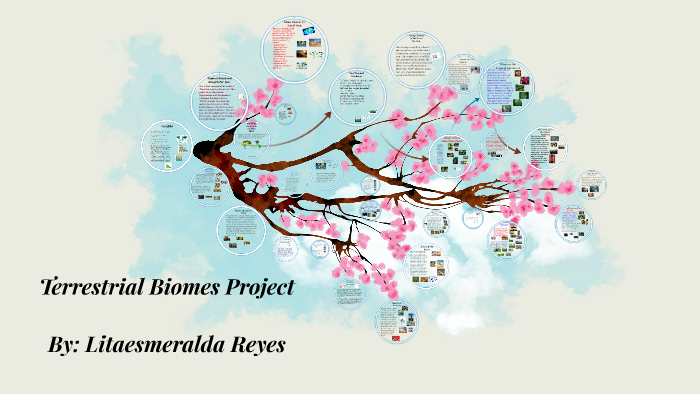 Terrestrial Biomes Project by Litaesmeralda Reyes on Prezi