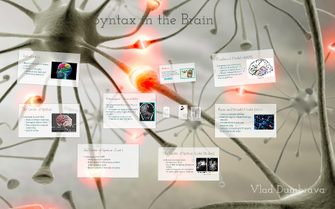 Syntax in the Brain by Vlad Dumbrava on Prezi
