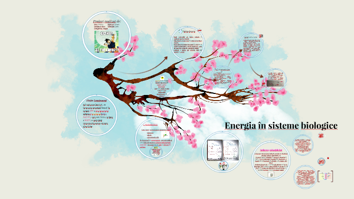 Energia în sisteme biologice by Mara Georgescu on Prezi