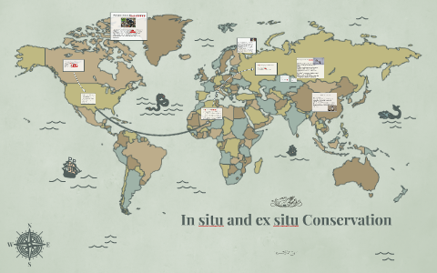 In situ and ex situ Conservation by on Prezi