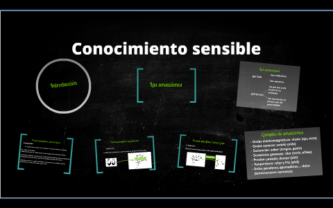 Conocimiento sensible by FILOSOFIA 1BATCH on Prezi
